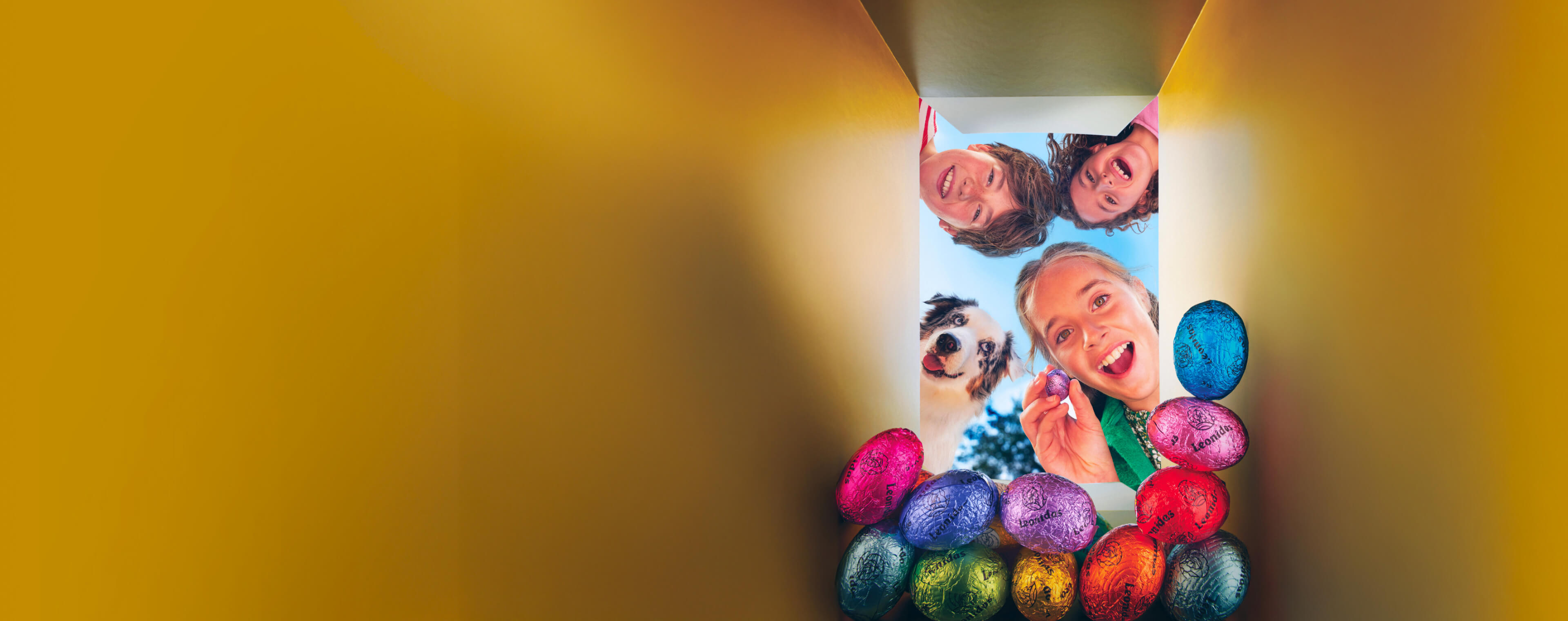 Leonidas Official Online Store | The Preferred Belgian Chocolate